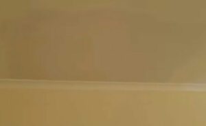 How Long Does It Take Mold to Grow On Drywall: 4 Reasons